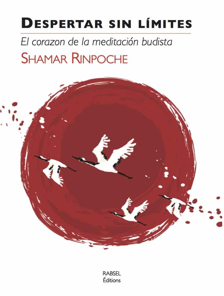 Despertar sin Límites | Rabsel Publications