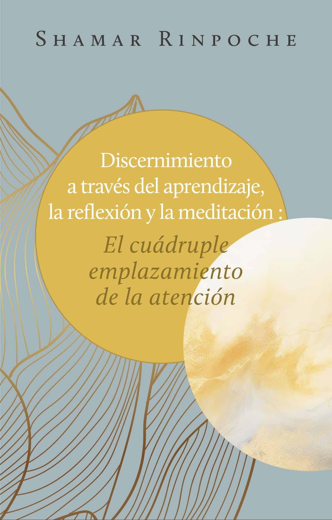 Discernimiento a través del aprendizaje, la reflexión y la meditación ...